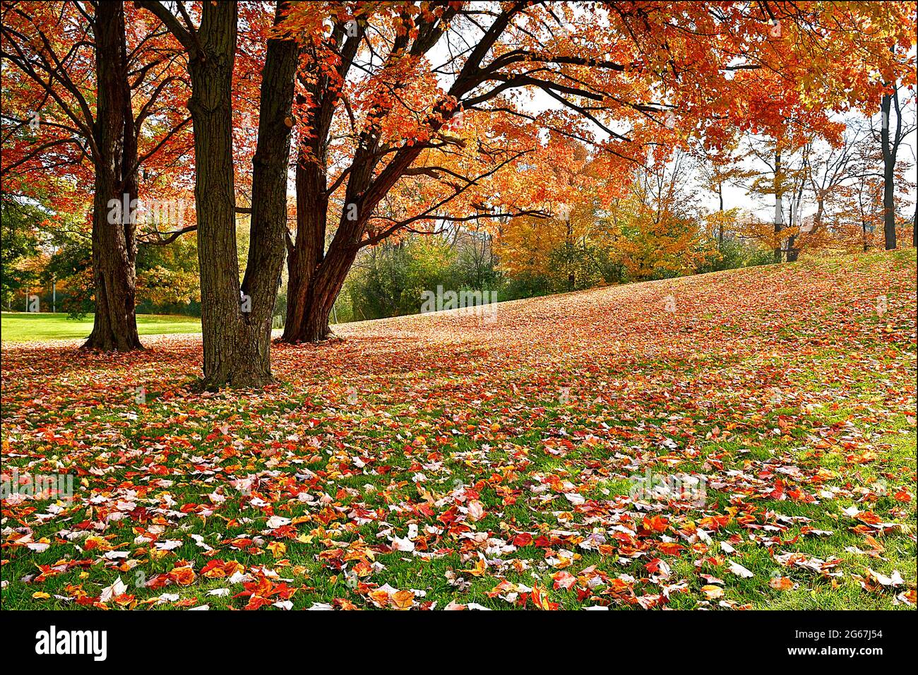 Covered public space hi-res stock photography and images - Alamy