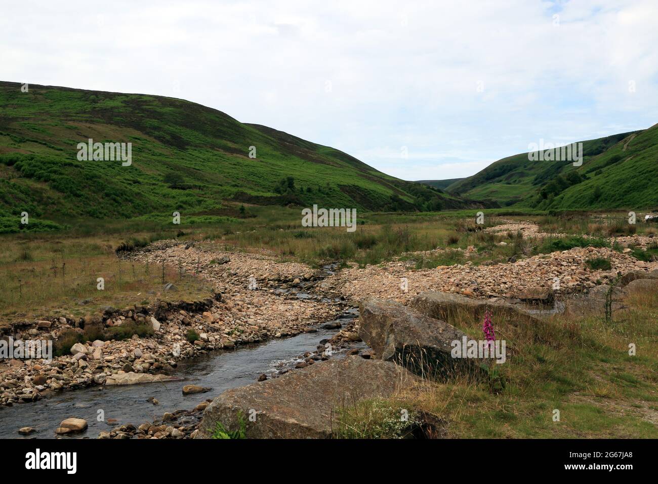 Langdon hills hi-res stock photography and images - Alamy
