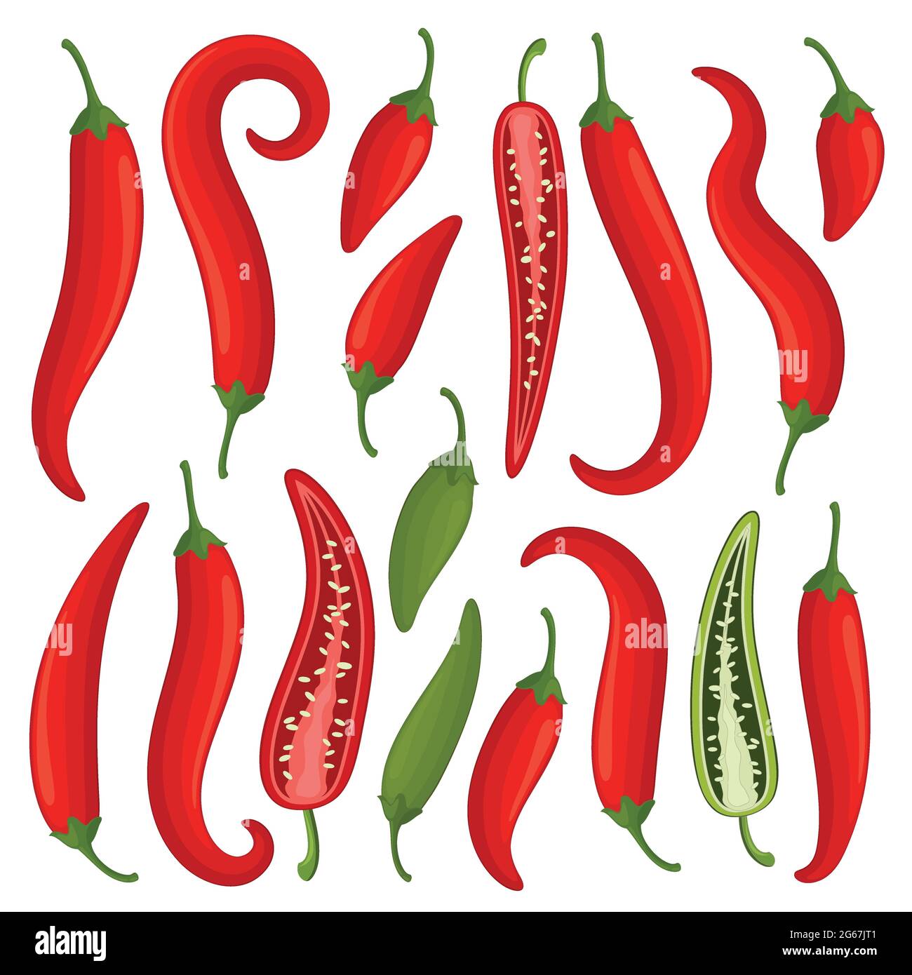Fresh chile pepper vegetable Stock Vector Images - Alamy
