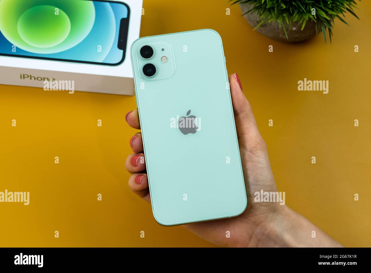 iPhone 12 in green color Stock Photo - Alamy