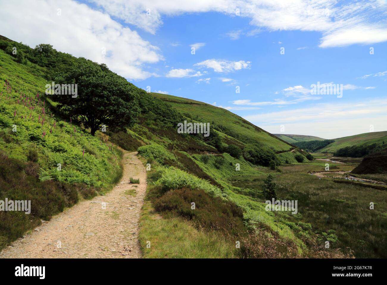 Langdon brook hi-res stock photography and images - Alamy