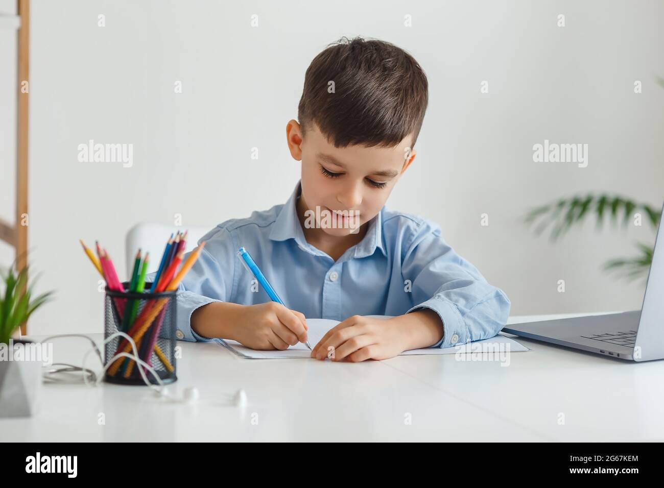 Clever kid doing homework using laptop and internet. Elementary school ...