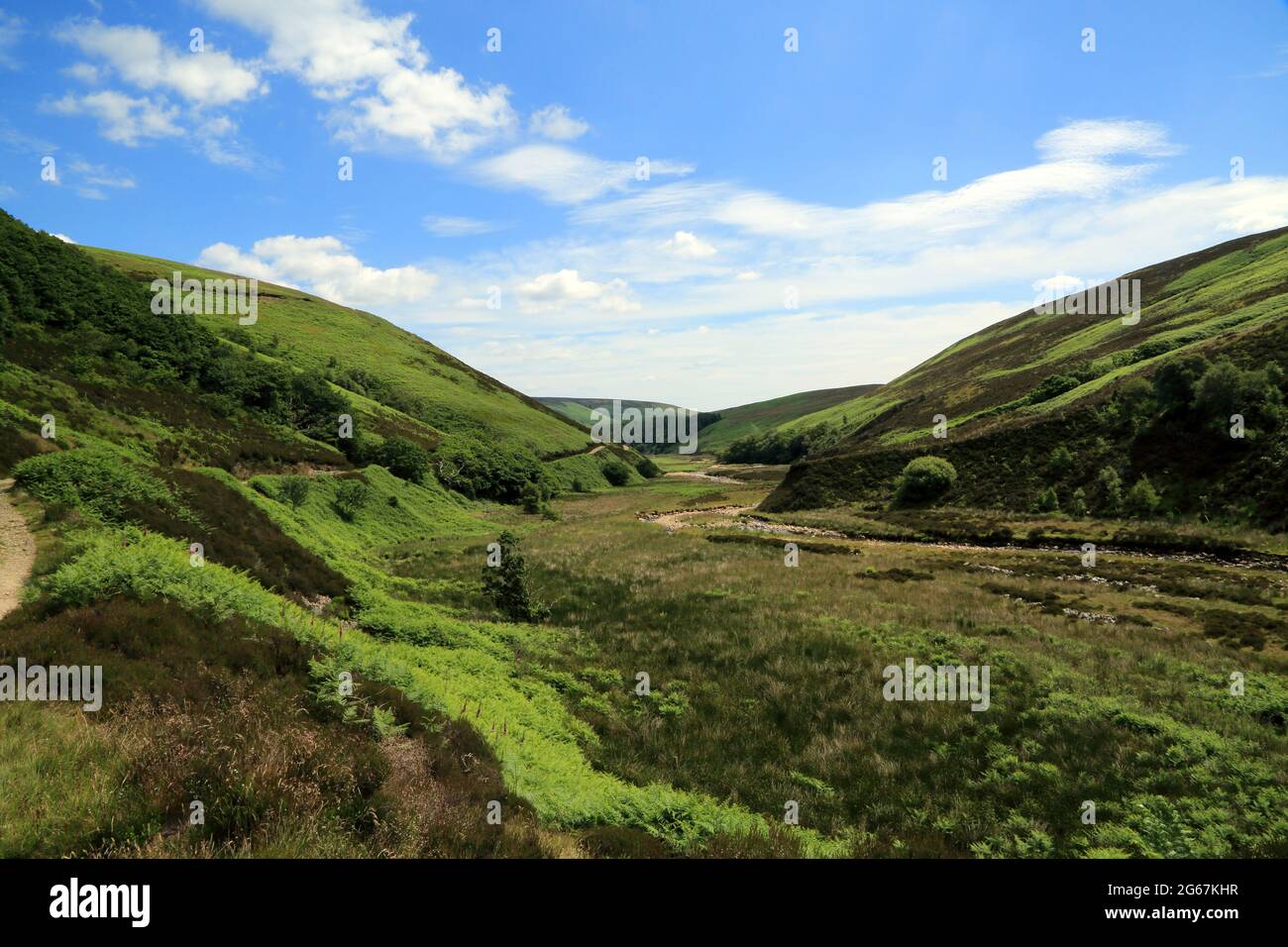 View of Langdon Brook at Sykes in Forest of Bowland AONB, Lancashire ...
