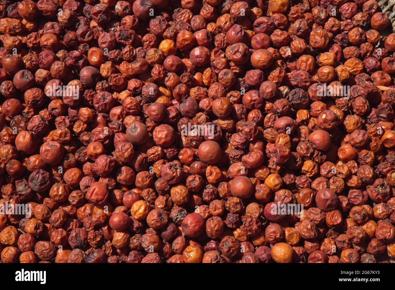 Closeup macro background of bright small red fruits filling screen ...