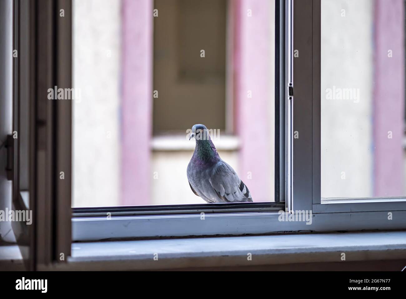 Inward hi-res stock photography and images - Alamy