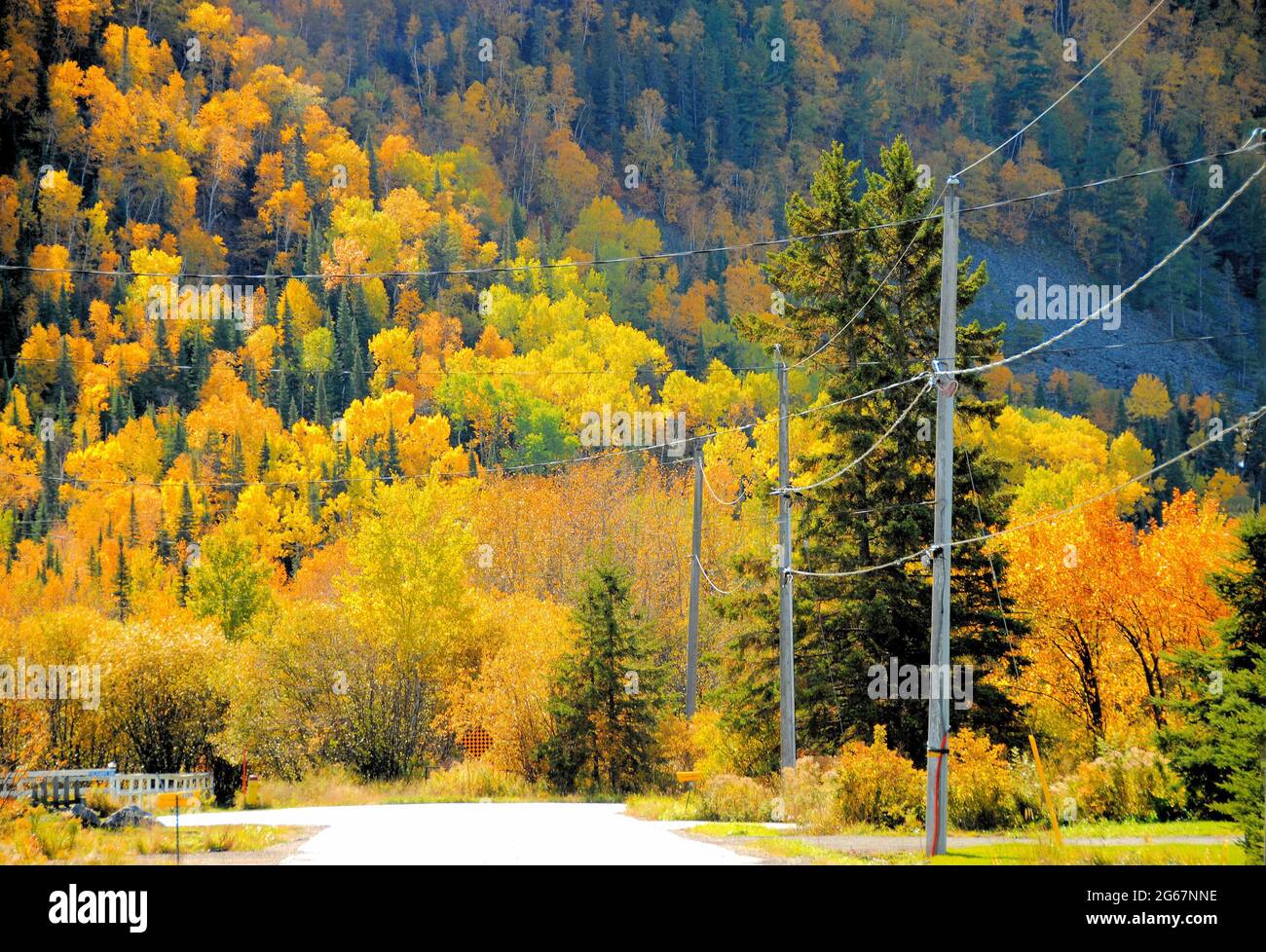 Beauty in the seasons hi-res stock photography and images - Alamy