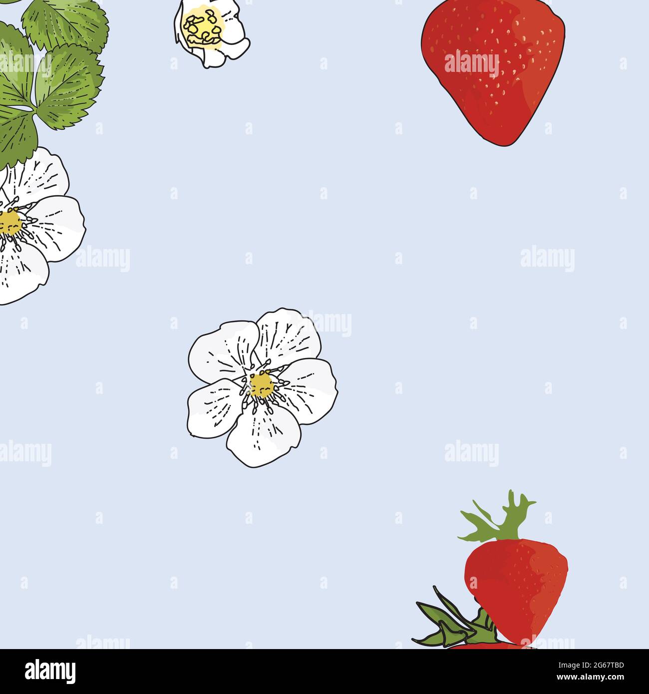 Vector pastel blue background garden strawberries, berry flowers ...