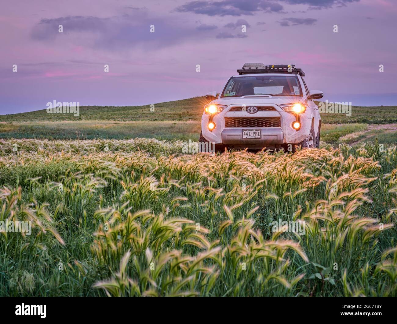 Briggsdale, CO, USA - June 2, 2021: Toyota 4Runner SUV (2016 Trail ...