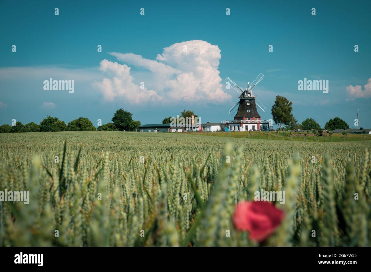 Historic dutch windmill stands hi-res stock photography and images - Alamy