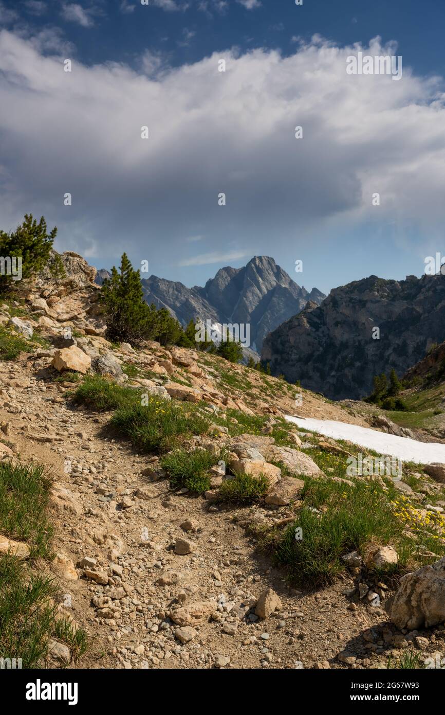 Paintbrush divide hi-res stock photography and images - Alamy