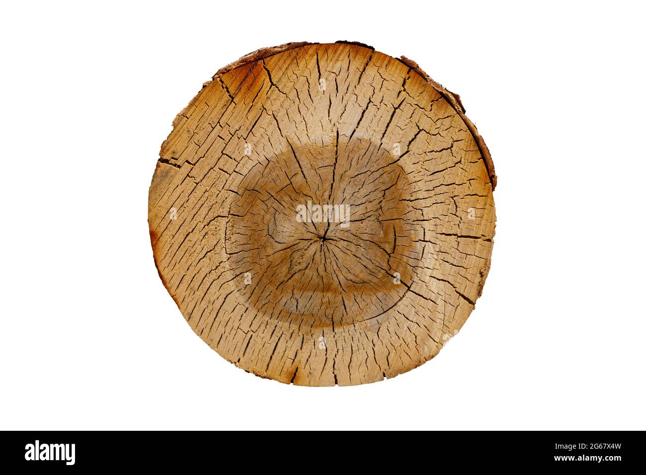 Broken log Cut Out Stock Images & Pictures - Alamy