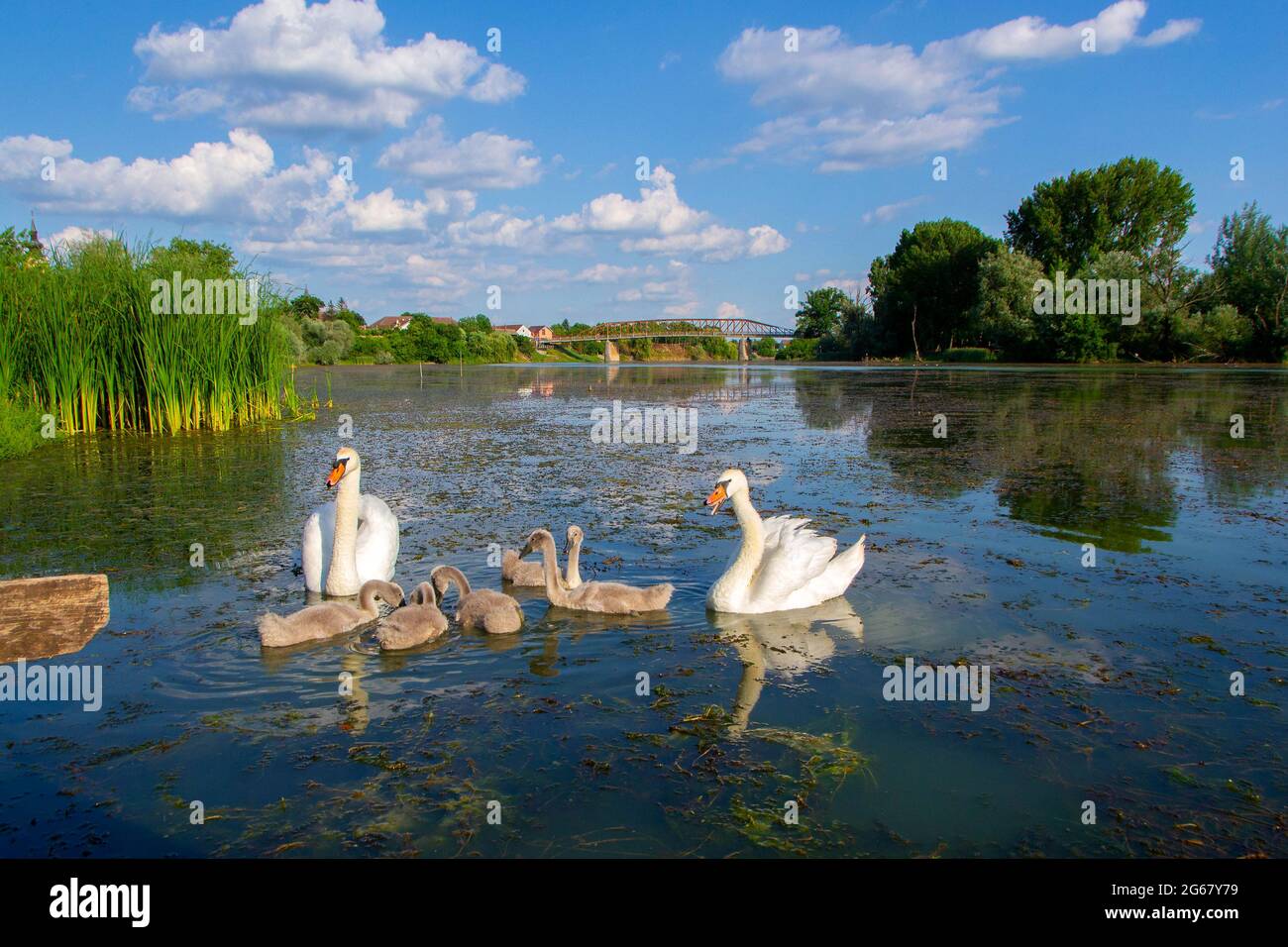 Studva river hi-res stock photography and images - Alamy