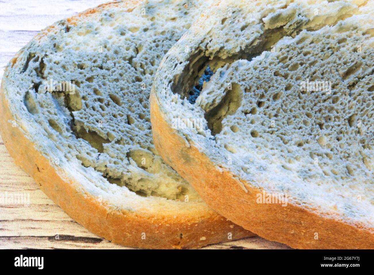 Mold growing rapidly on moldy bread on wooden background. Mildew on a ...