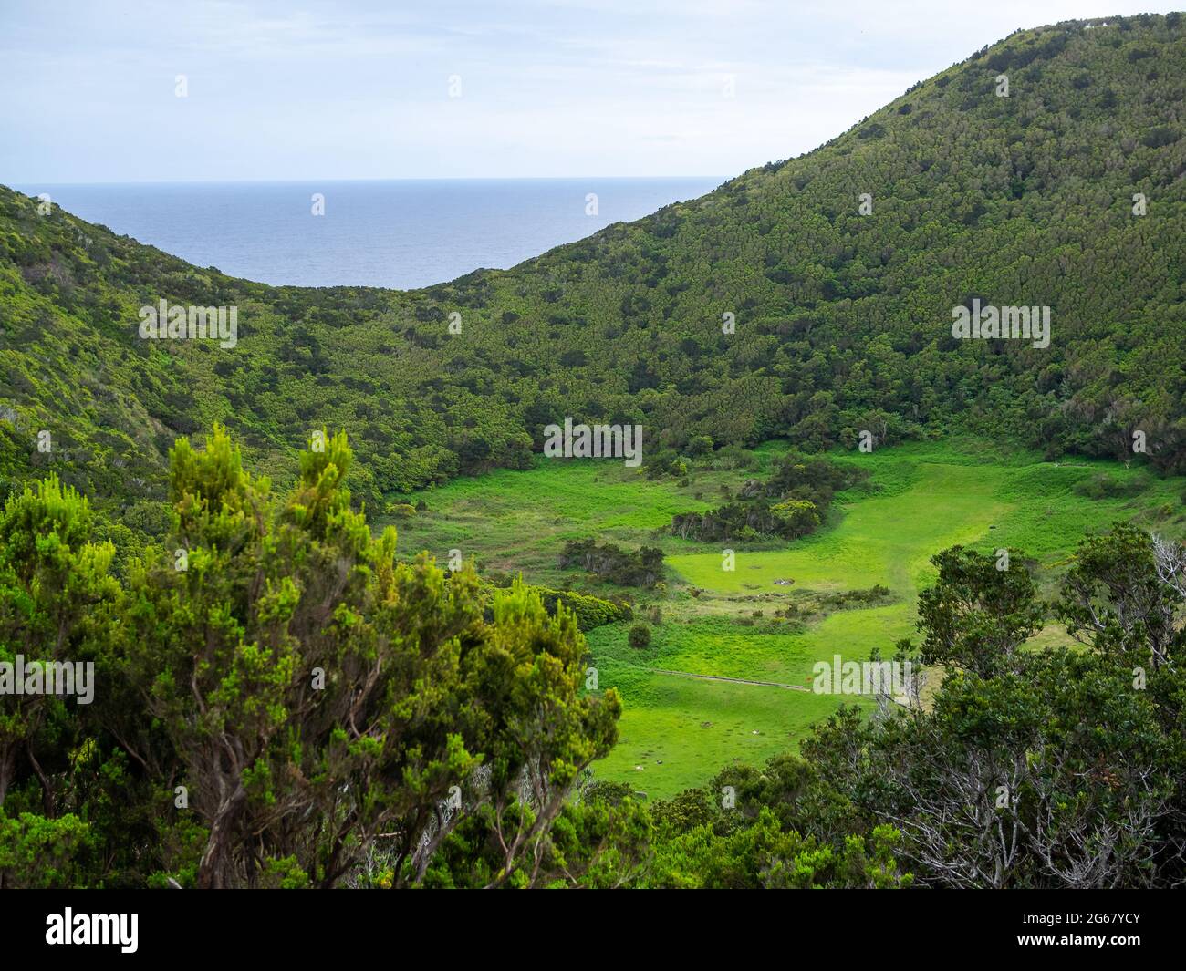 Covered in vegetation hi-res stock photography and images - Alamy