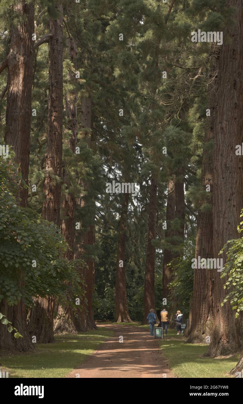 Sunnycroft preserved 20th century house Stock Photo - Alamy