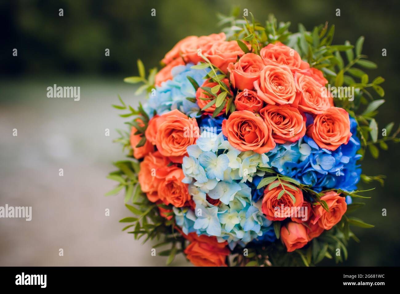 Orange And Blue Roses