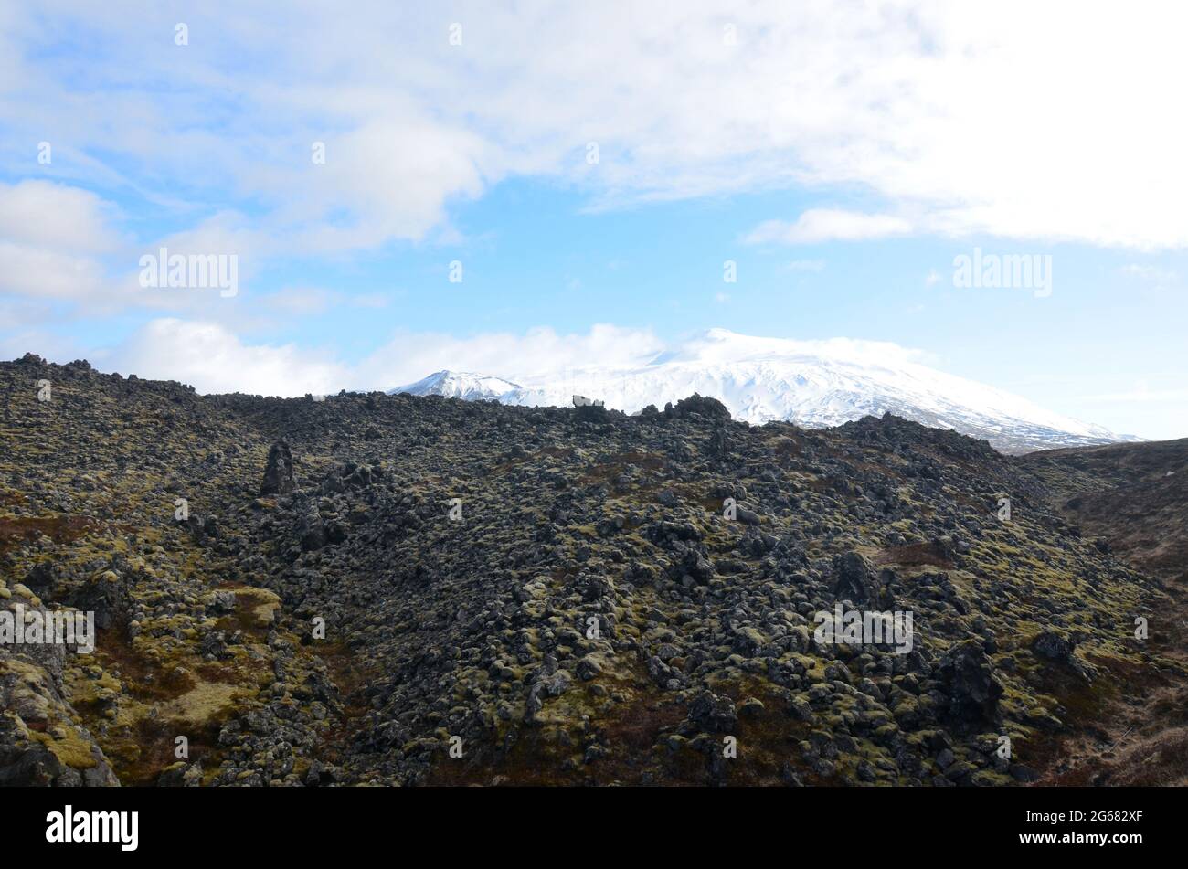 Beautiful moss covered lava rock field with snow covered mountains ...