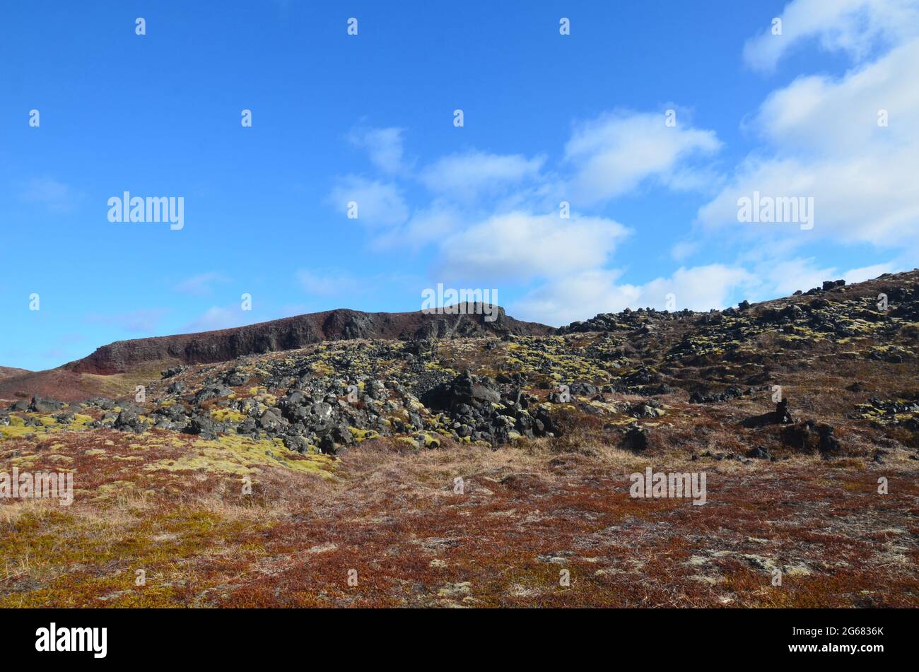 Beautiful reclaimed landscape with moss covered lava rocks Stock Photo ...