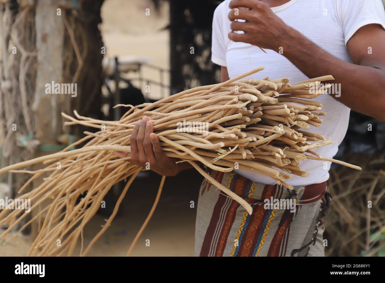 Teeth roots hi-res stock photography and images - Alamy
