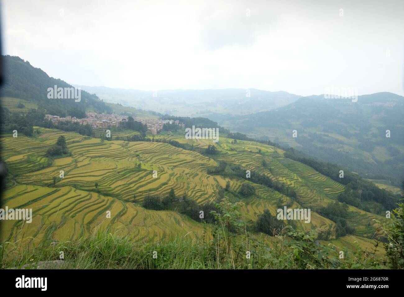 Amazing fields of rice a style of Agriculture in Yunnan Province south ...