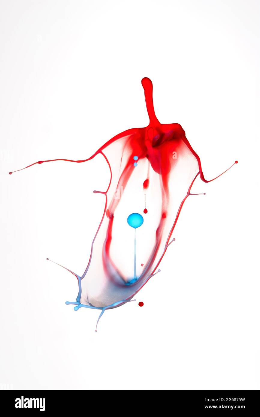 The blue acrylic paint drops fall from above colliding with red drops ...