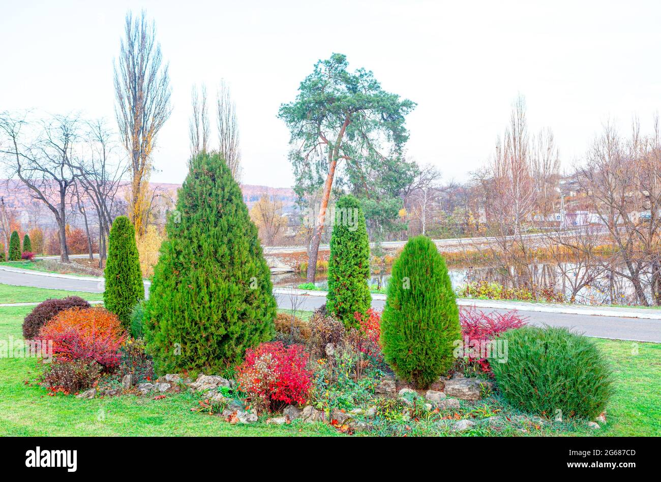 Woody shrubs hi-res stock photography and images - Alamy