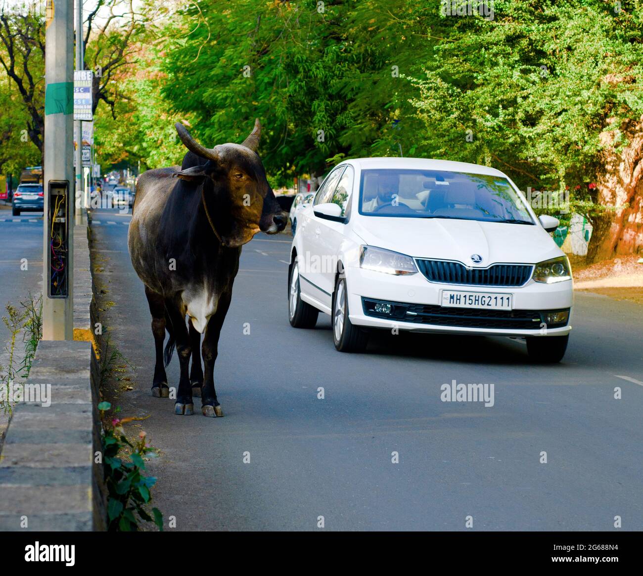 Funny car road hi-res stock photography and images - Alamy