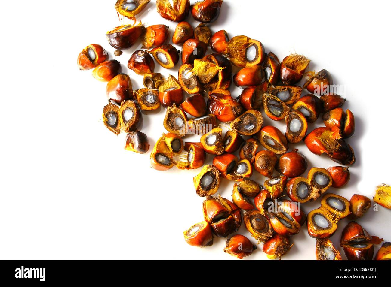 Fresh Palm Oil fruit on white background Stock Photo - Alamy