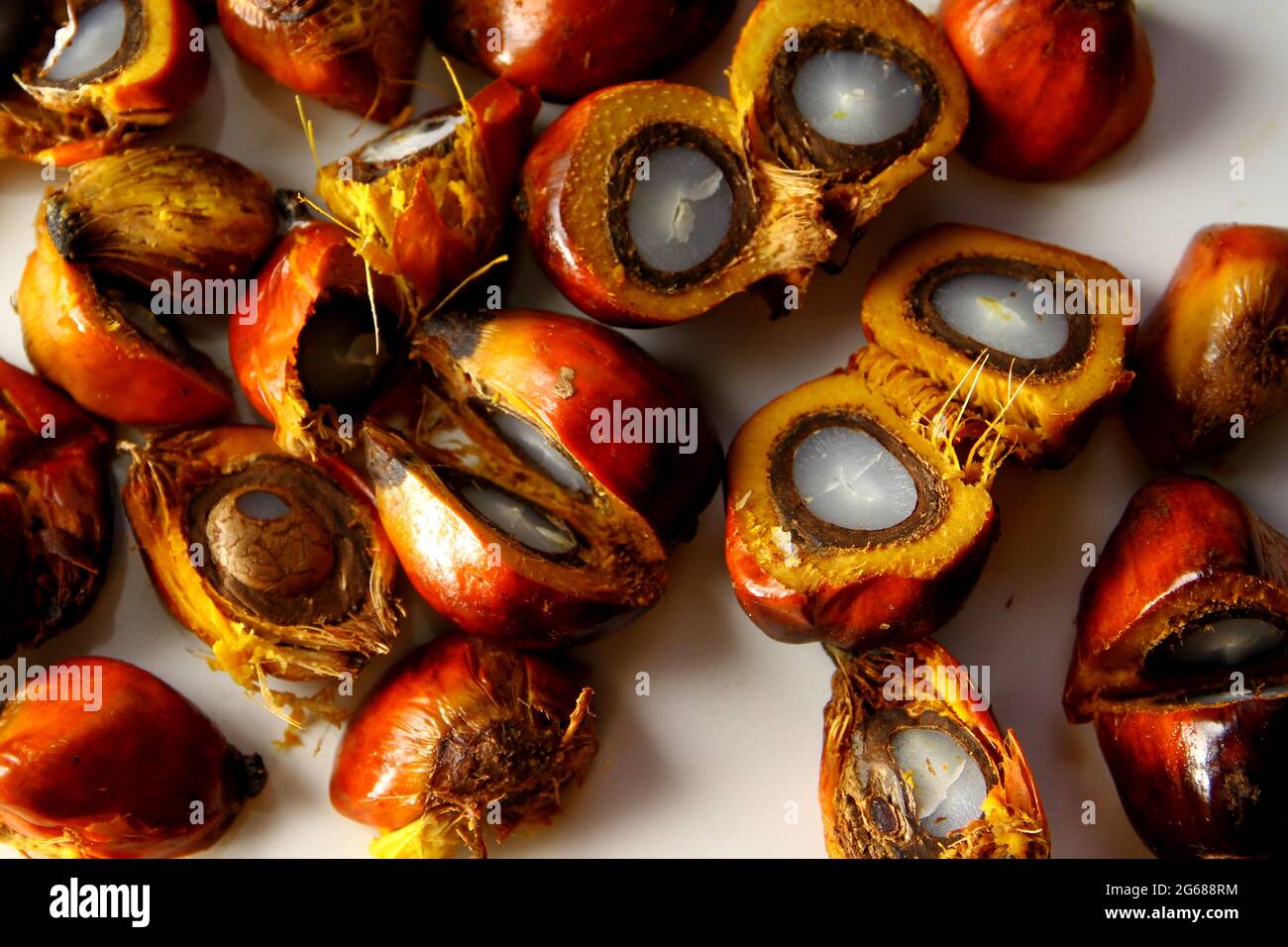 Fresh Palm Oil fruit on white background Stock Photo - Alamy