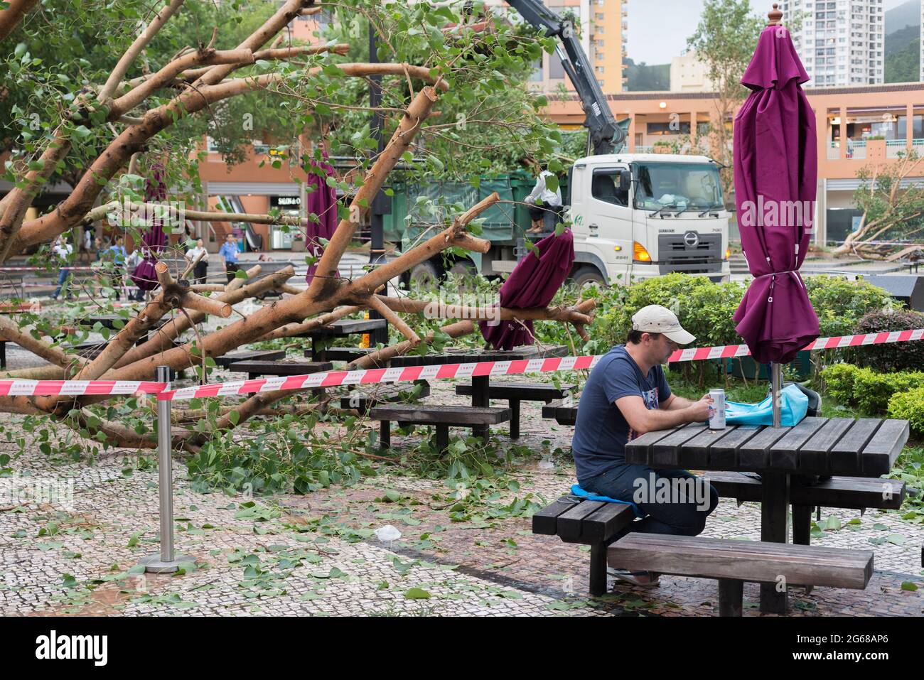 Trees uprooted by Typhoon Vicente in Discovery Bay, Lantau Island, Hong ...