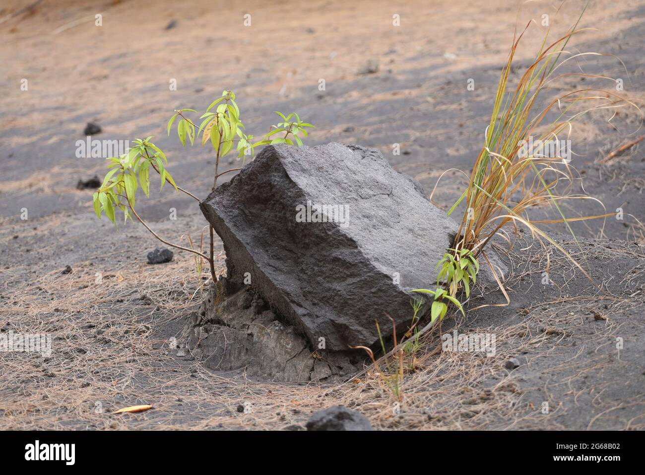Eruption of Anakkraktau Sunda Strait Indonesia Stock Photo - Alamy
