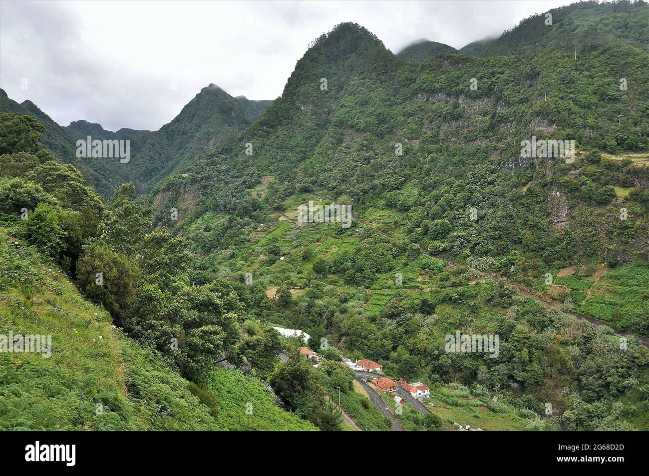 Vista madeira hi-res stock photography and images - Alamy