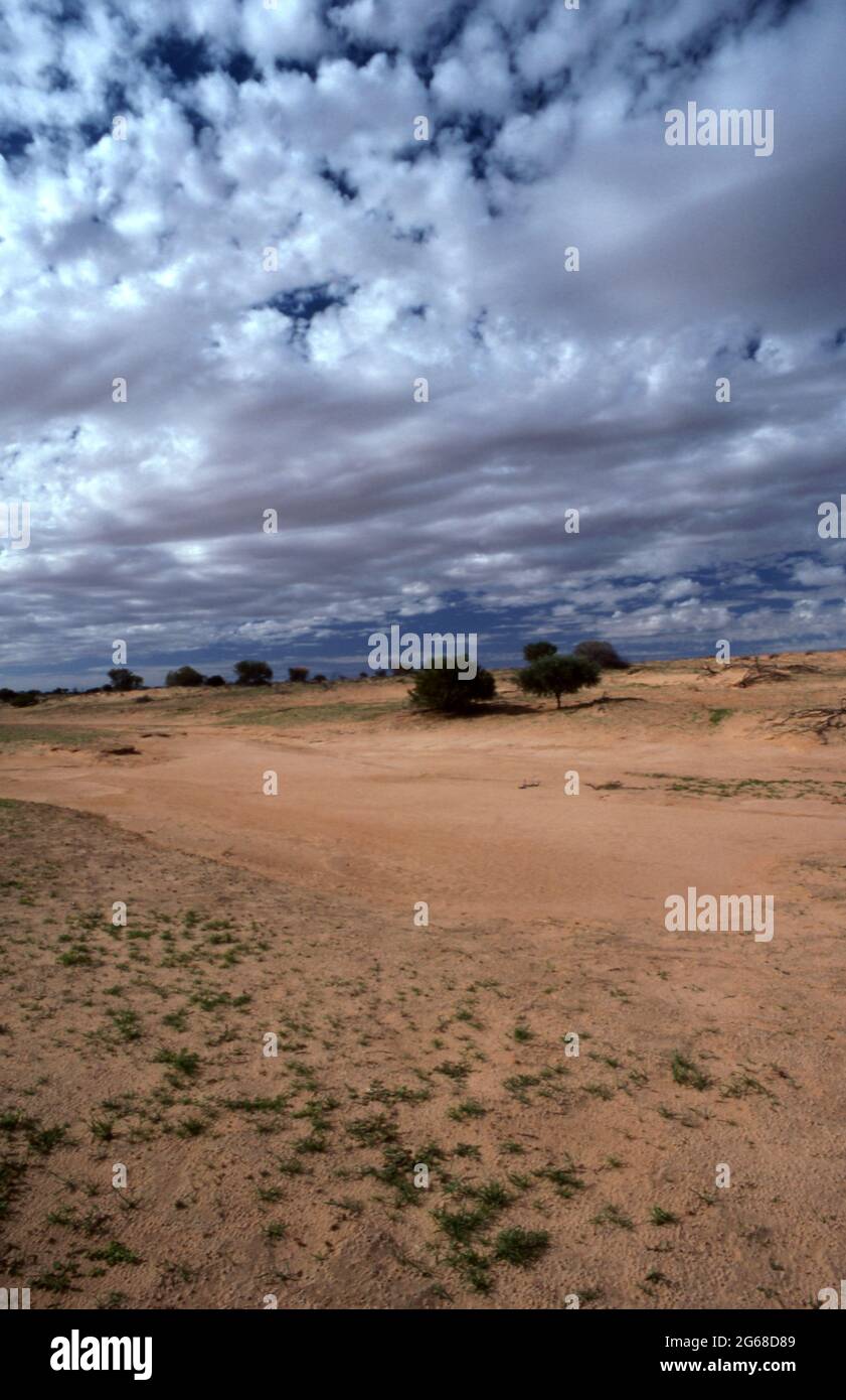 VIEW ACROSS THE SAND DUNES OF THE GREAT SIMPSON DESERT IN CENTRAL ...