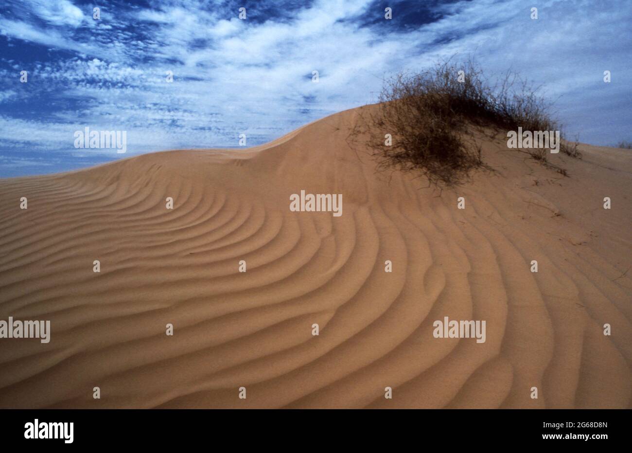 CLOSE UP OF SAND PATTERNS IN THE DUNES OF THE SIMPSON DESERT, CENTRAL ...