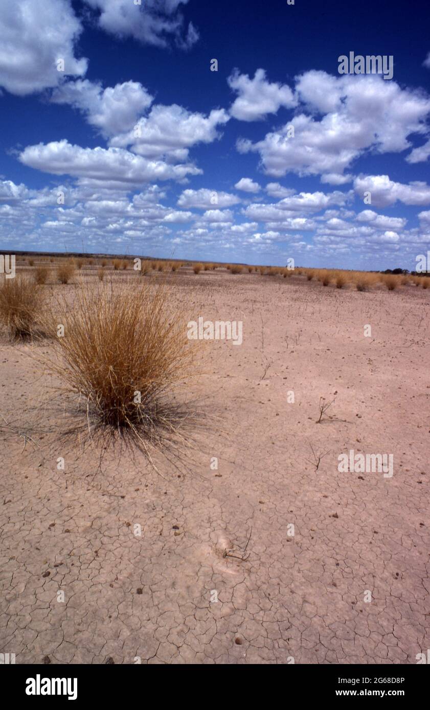 CLOSE UP OF SAND PATTERNS IN THE DUNES OF THE SIMPSON DESERT, CENTRAL ...