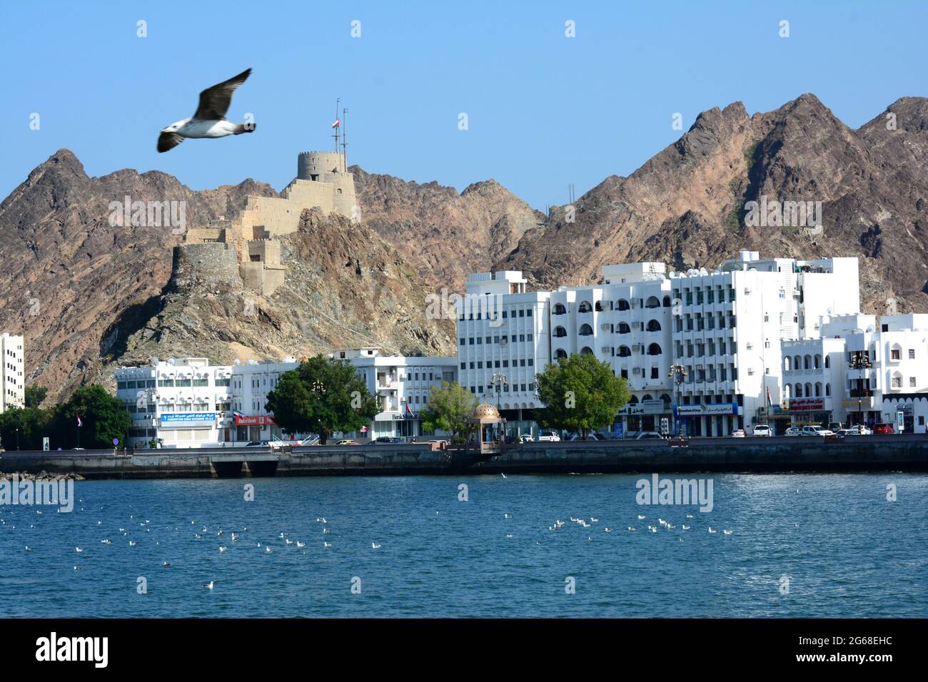 OMAN. MUSCAT. MUTRAH WITH ITS NEW BUILDINGS AND AN OLD FORT Stock Photo ...