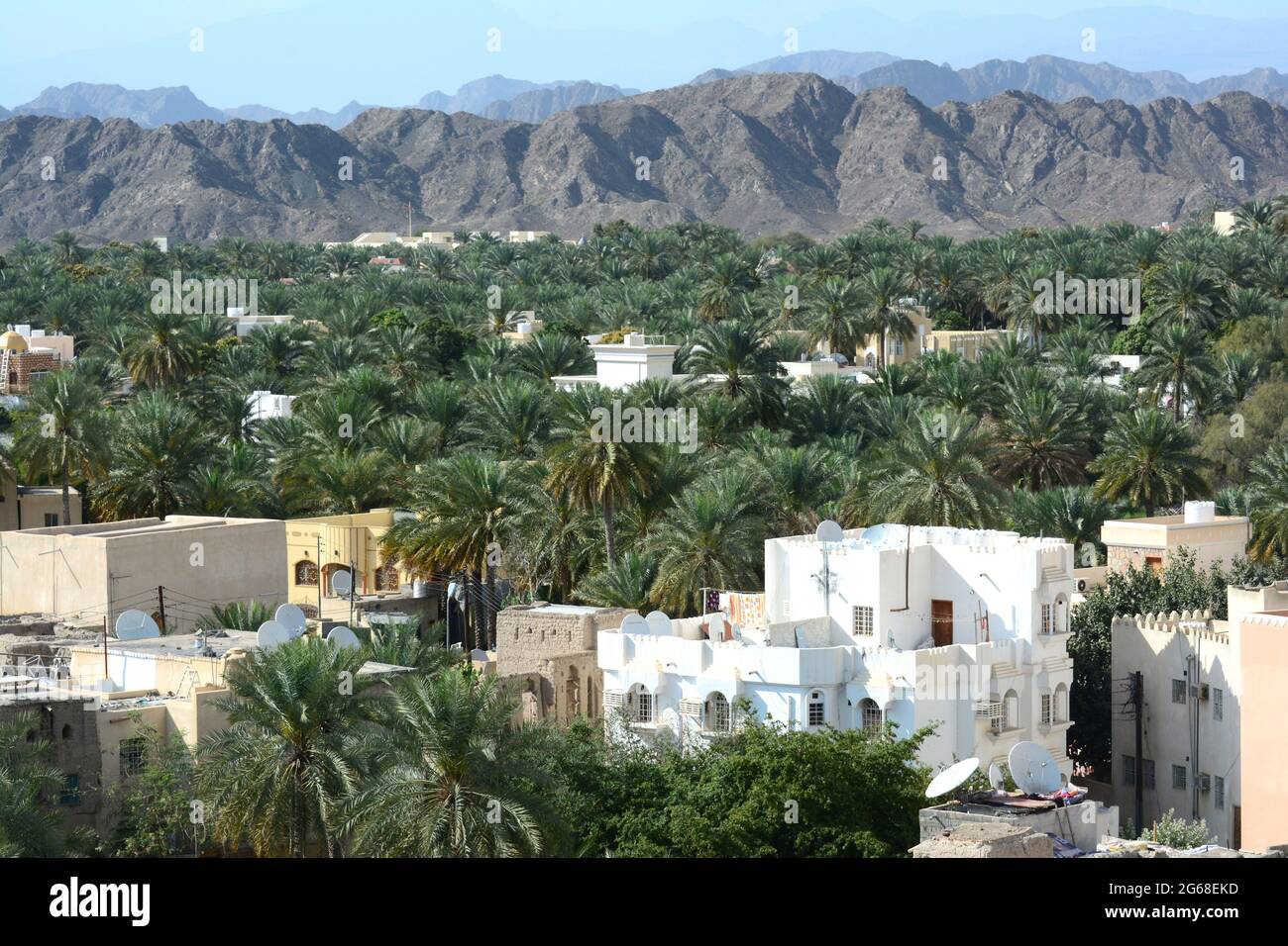 OMAN. HAJAR MOUNTAINS. NIZWA. VIEW ON THE TOWN OF NIZWA AND THE PALM ...