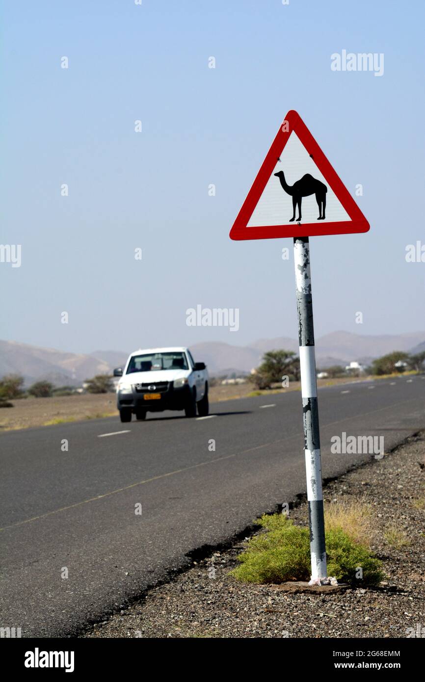 OMAN. PANEL ROAD FOR CAMELS Stock Photo - Alamy