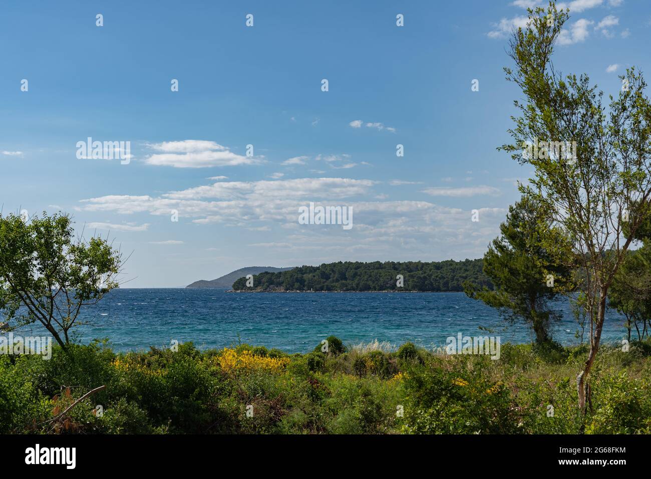 Sea through trees hi-res stock photography and images - Alamy