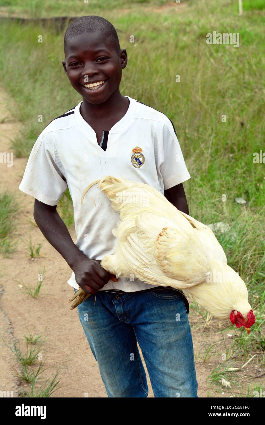 UGANDA. PORTRAIT OF A YOUNG MAN SELLING CHICKEN ON THE ROAD Stock Photo ...