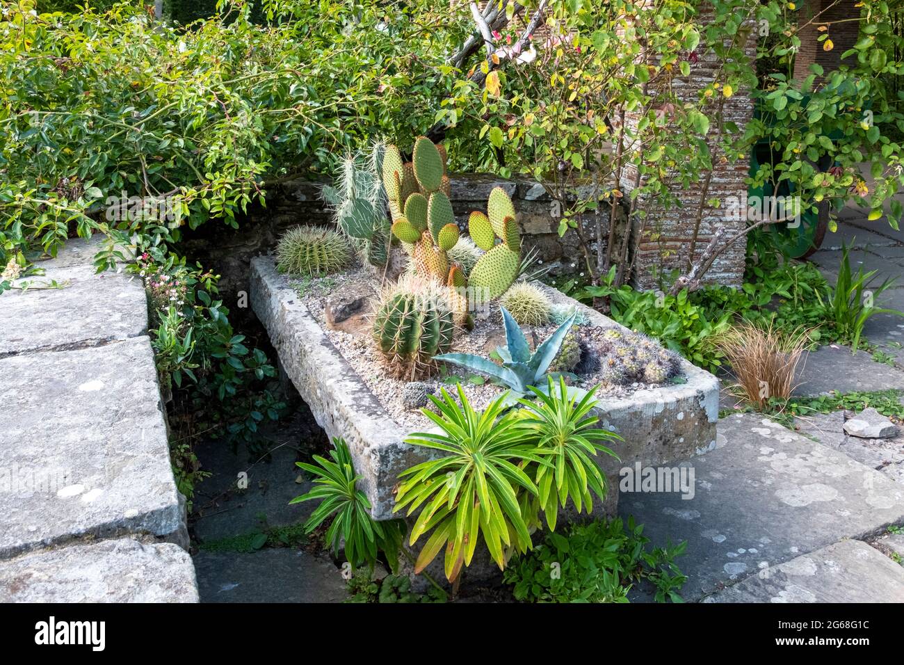 Trough garden hi-res stock photography and images - Alamy