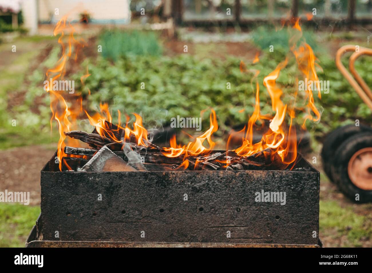 A bright flame from the fire. flames over barbecue. sticks of wood in ...