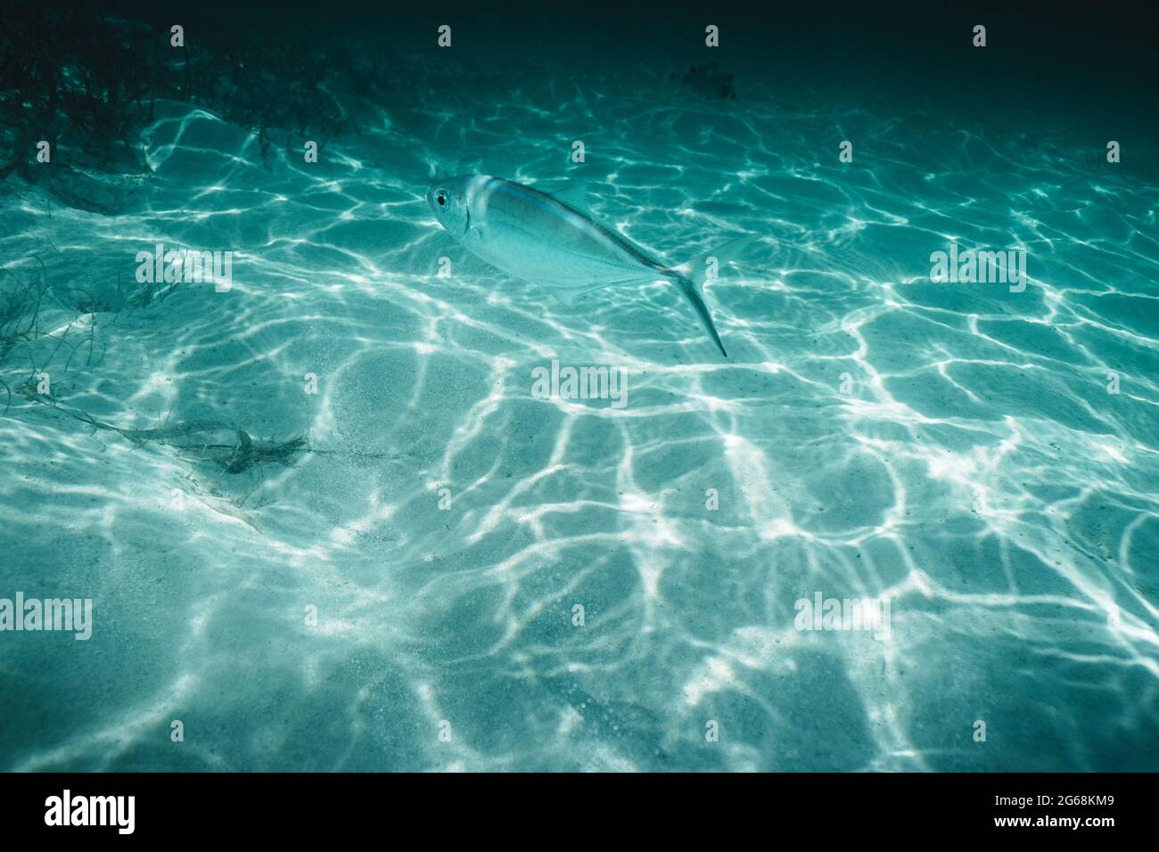 Sea sand and blue water. Underwater. ocean background Stock Photo - Alamy