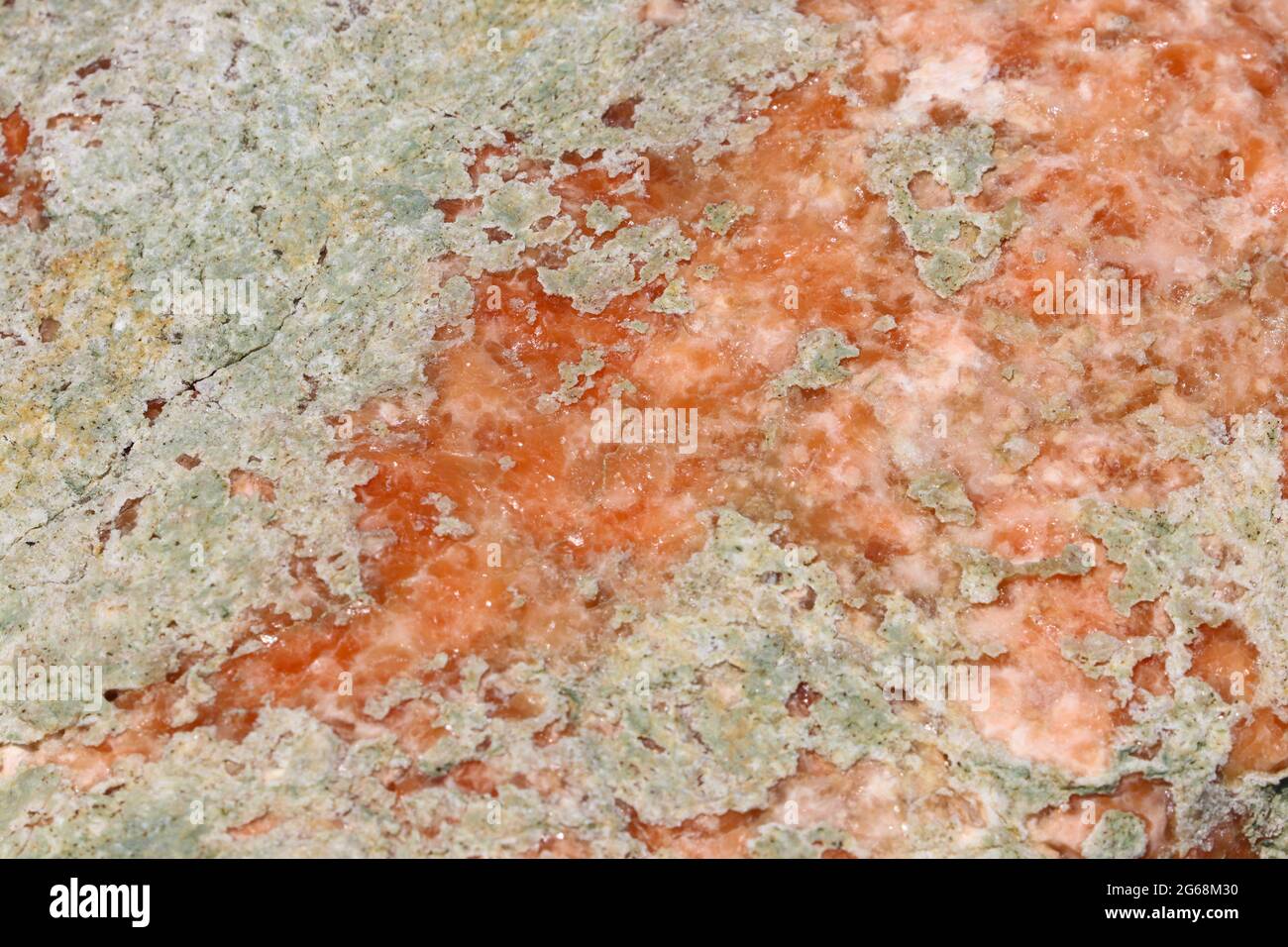 Pink gypsum rock close up at Penarth, UK Stock Photo - Alamy