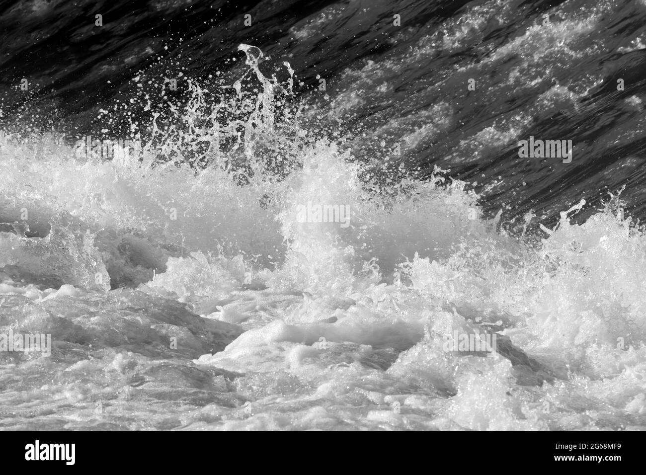 Pure freshwater creek Black and White Stock Photos & Images - Alamy
