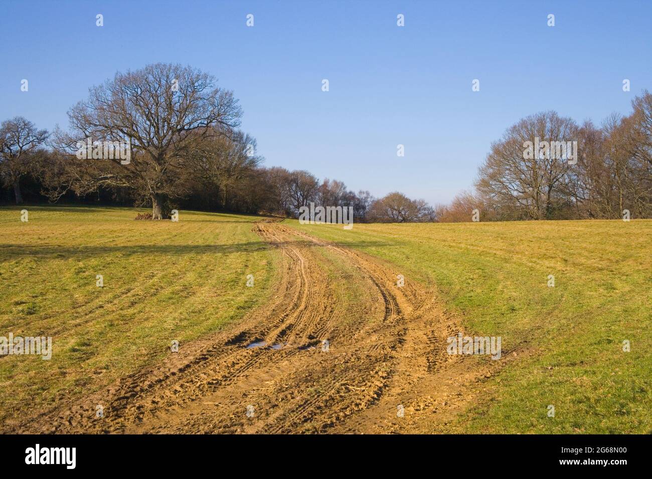 Chailey east sussex hi-res stock photography and images - Alamy