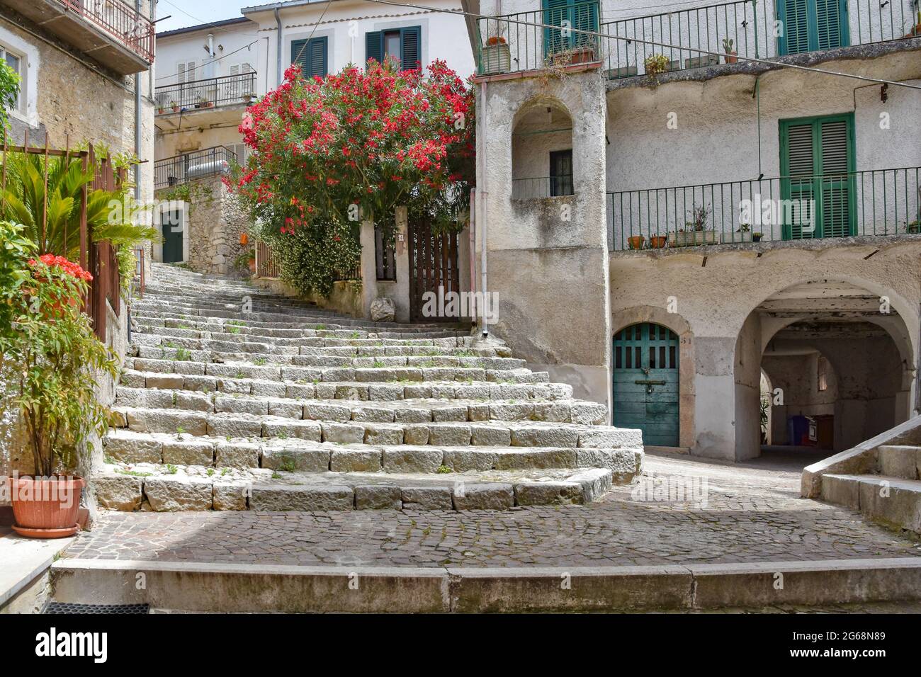 Arce hi-res stock photography and images - Alamy