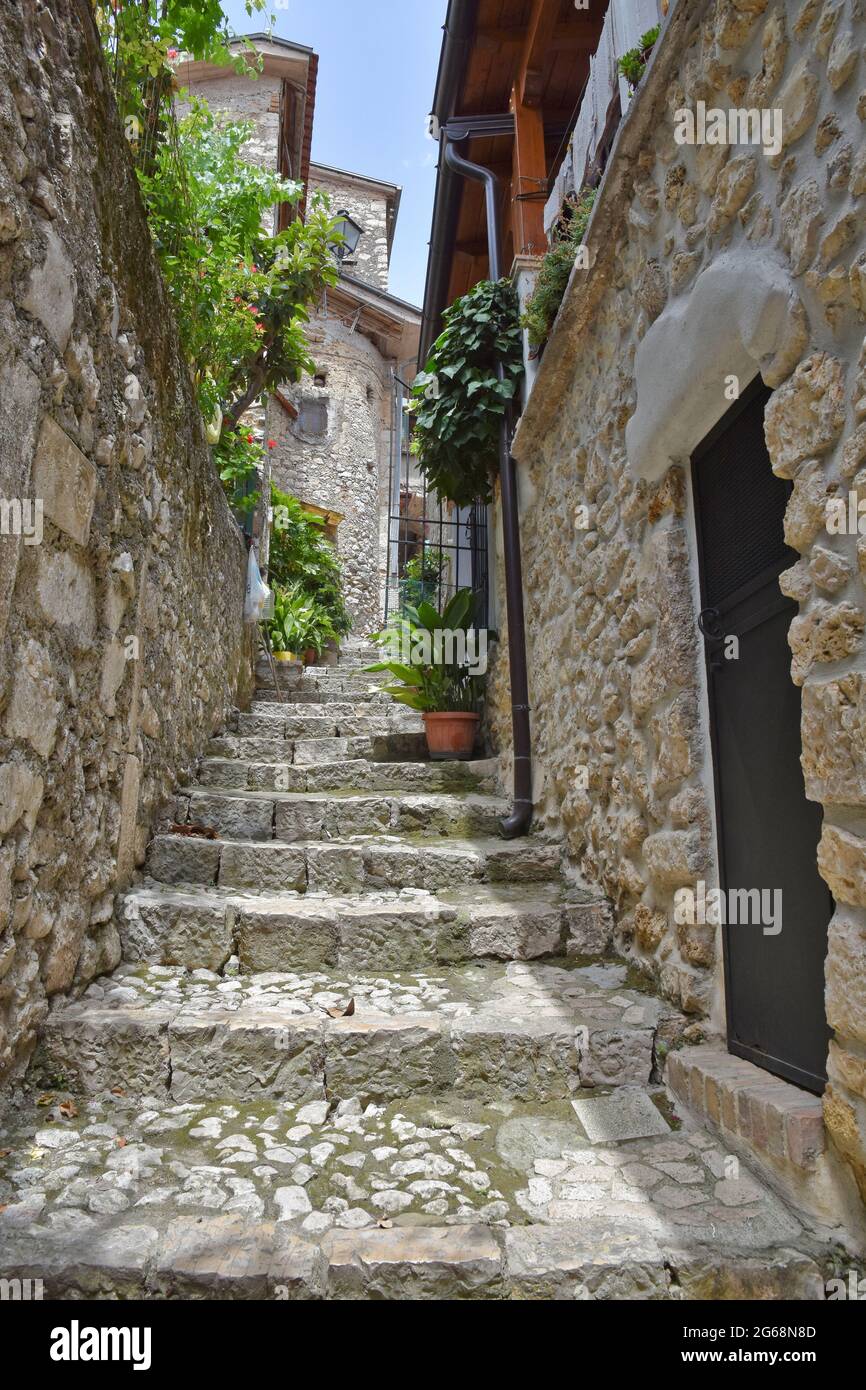 Arce hi-res stock photography and images - Alamy