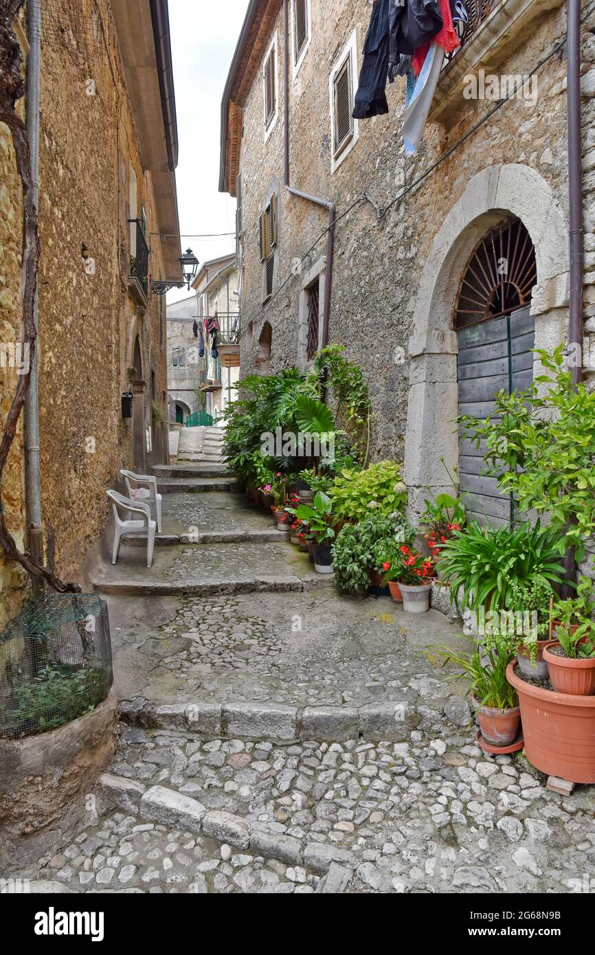 Arce hi-res stock photography and images - Alamy