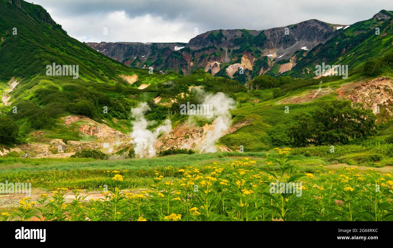 Kamchatka, the national reserve of the valley of geysers Stock Photo ...